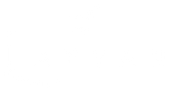 Best Seller – LAYYAN COLLECTION